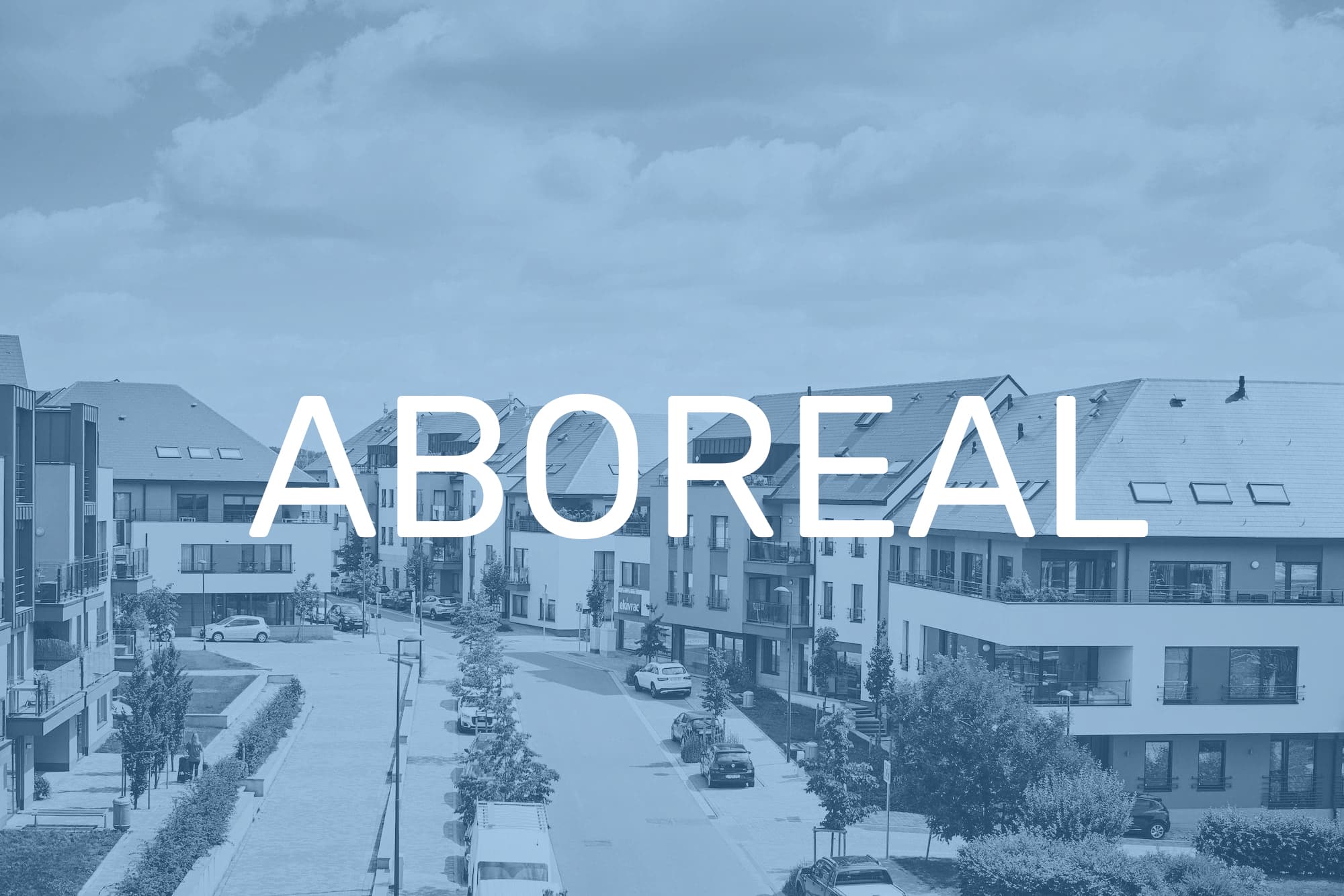 Aboreal - We build for People %site